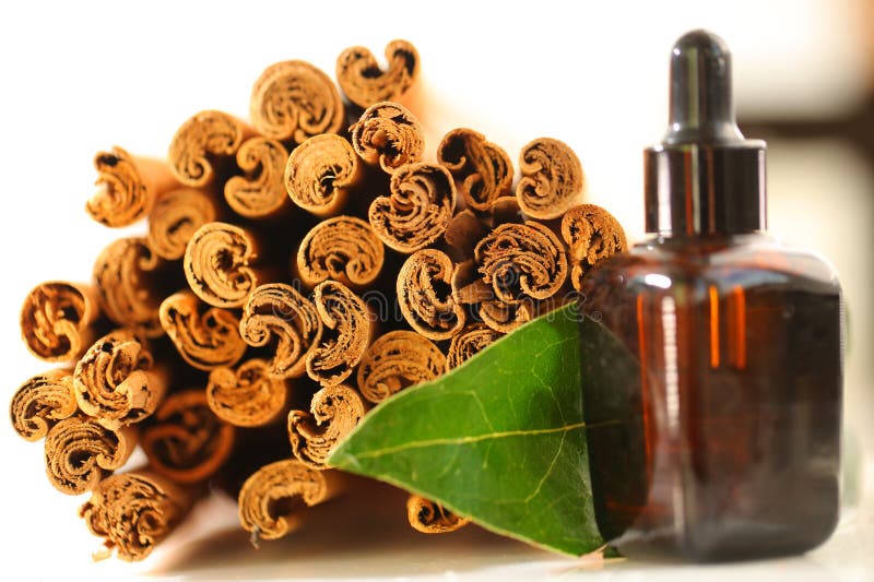 Ceylon Cinnamon Sticks Wholesale Packaging Stock Image - Image of ...