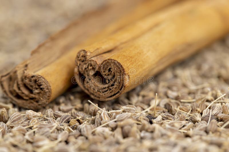 Ceylon Real Cinnamon with Anise Seeds Stock Image - Image of stick ...