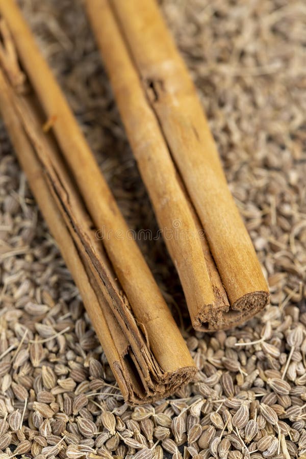 Ceylon Real Cinnamon with Anise Seeds Stock Photo - Image of cinamon ...