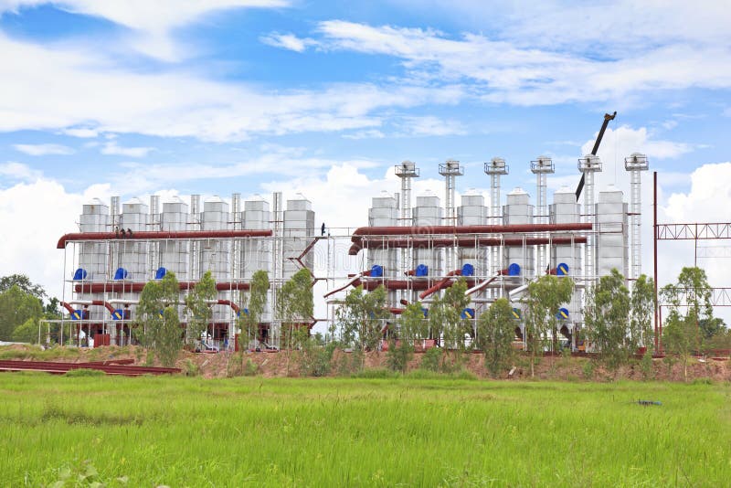 Usine De Riz Sur La Bande De Conveyeur Photo stock - Image du société ...