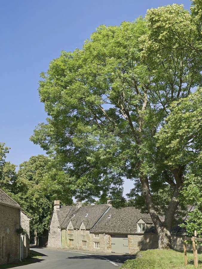 Chacina superior foto de stock. Imagem de cascas, colorido - 3522288