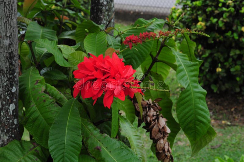 Kar Raj (Karenmaharaj25) - Photos