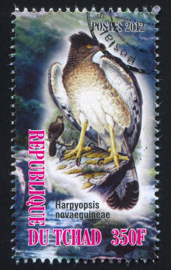 Eagle editorial image. Image of neck, pecker, fauna - 334216545