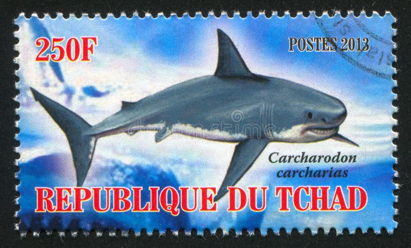 Shark editorial stock image. Image of aged, mail, fear - 185729729