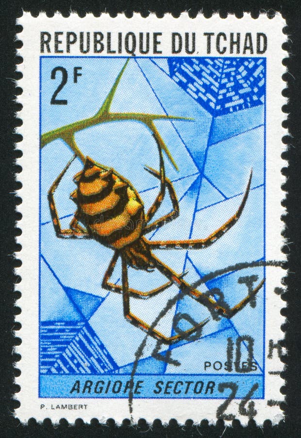 Spider editorial image. Image of feeler, head, sector - 227794820