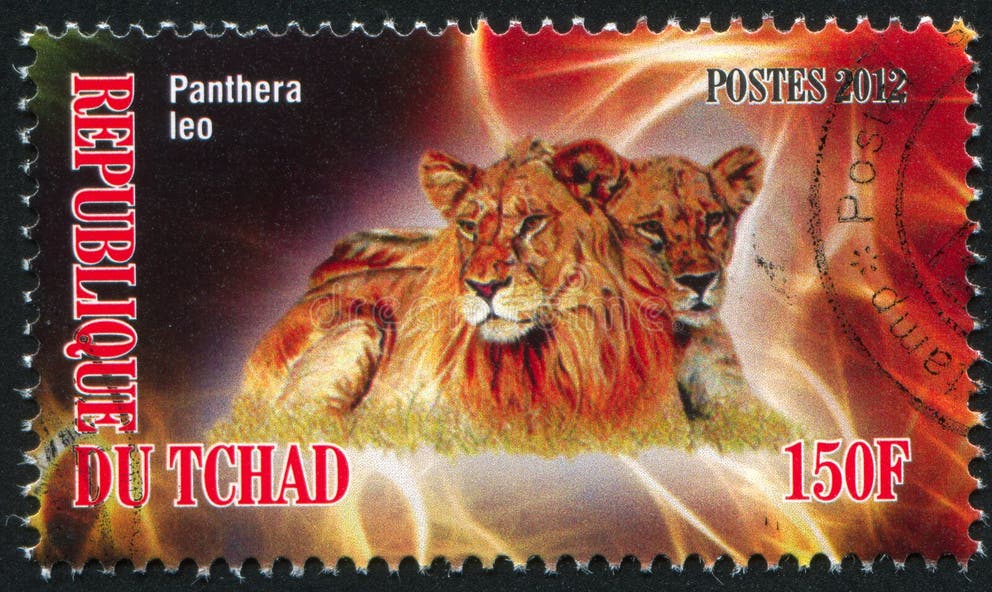 Lion editorial photo. Image of african, panthera, postcard - 362451906