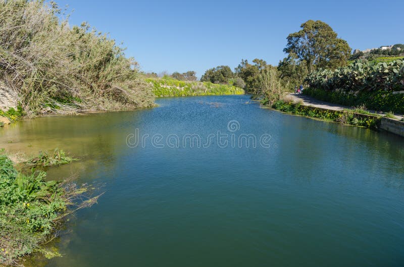 Chadwick Lakes - Malta stock photo. Image of grass, field - 40322992