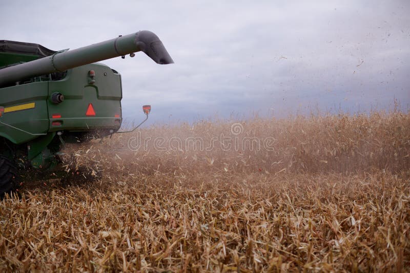 Chaff Blowing Stock Photos - Free & Royalty-Free Stock Photos from ...