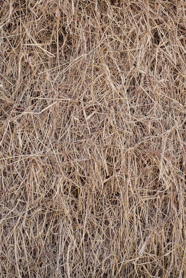 Chaff straw background stock photo. Image of field, landscape - 85462768