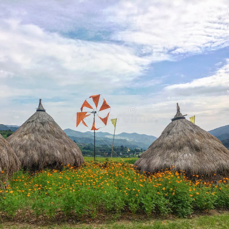 Chaff Wind Stock Photos - Free & Royalty-Free Stock Photos from Dreamstime