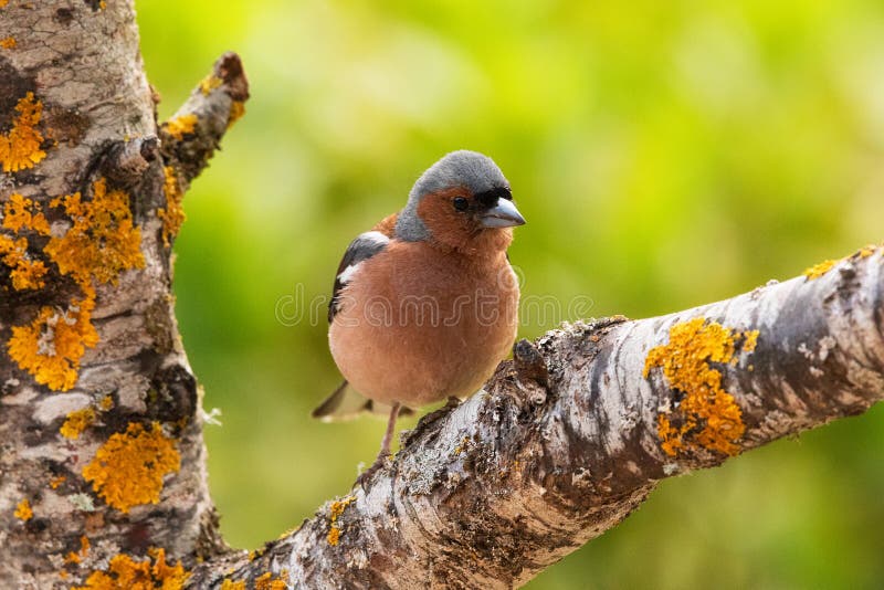 261 Espejo Stock Photos - Free & Royalty-Free Stock Photos from Dreamstime