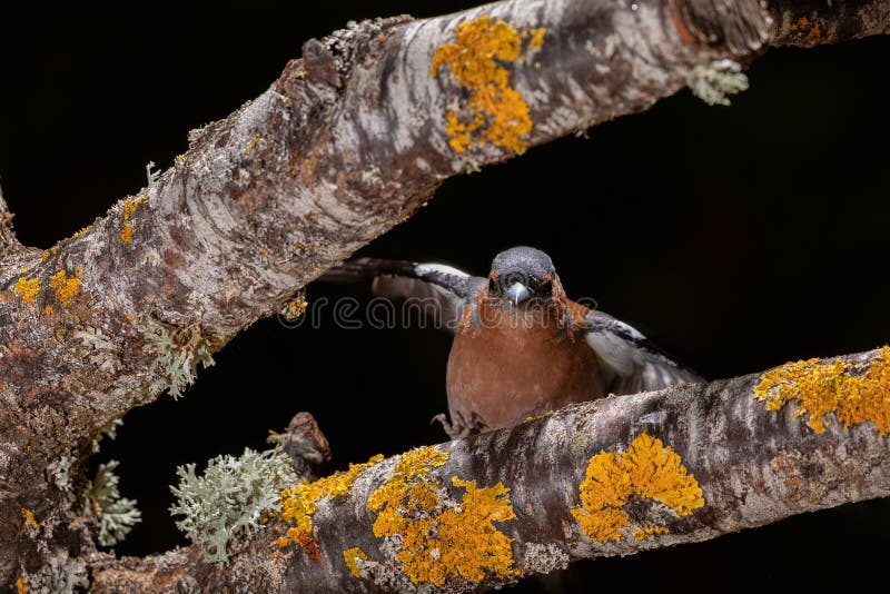 261 Espejo Stock Photos - Free & Royalty-Free Stock Photos from Dreamstime