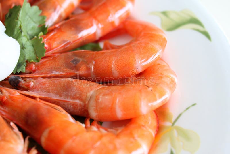 Chafing Dish with Shrimp Close-up Stock Photo - Image of boil, china ...