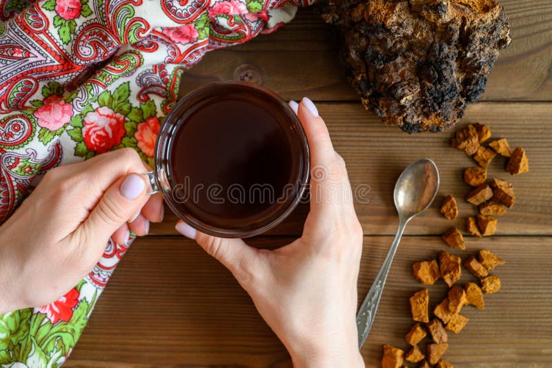 Chaga Tea Mushroom from Birch Tree Using for Healing Tea or Coffee in ...