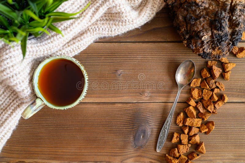 Chaga Tea Mushroom from Birch Tree Using for Healing Tea or Coffee in ...