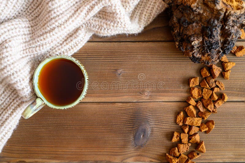 Chaga Tea Mushroom from Birch Tree Using for Healing Tea or Coffee in ...