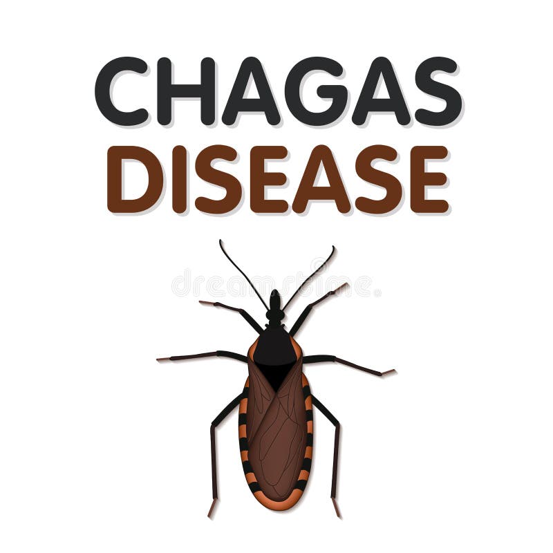 Chagas Ilustraciones Stock, Vectores, Y Clipart – (40 Ilustraciones Stock)