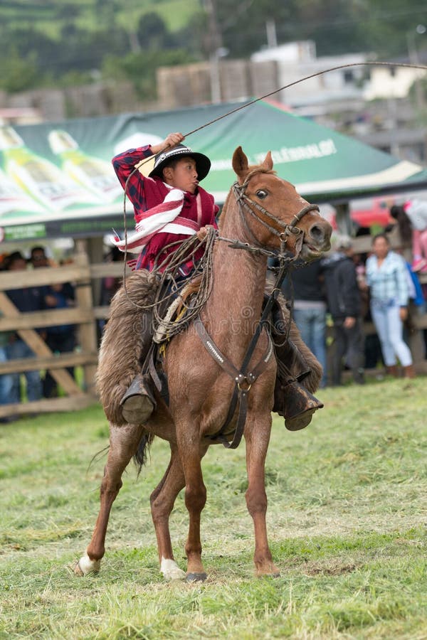 Chagra-Cowboy, Der Das Lasso am Rodeo in Ecuador Bearbeitet ...