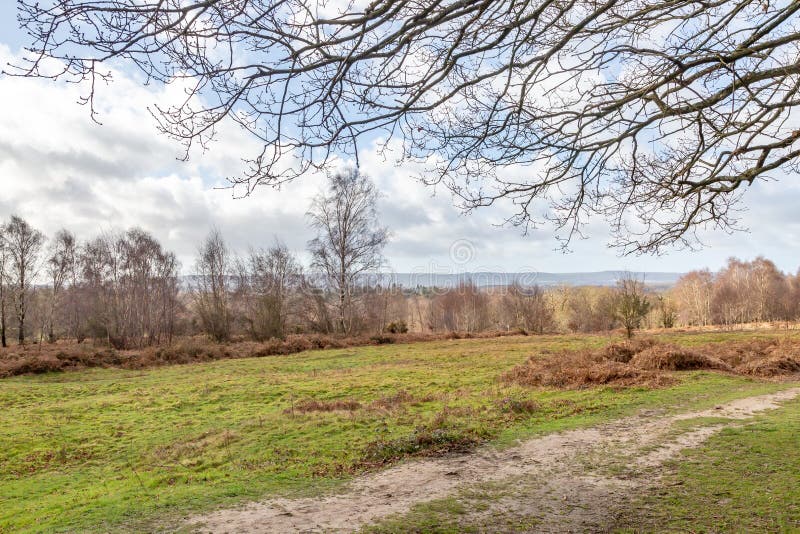Chailey Common Landscape stock photo. Image of loddon - 141537894
