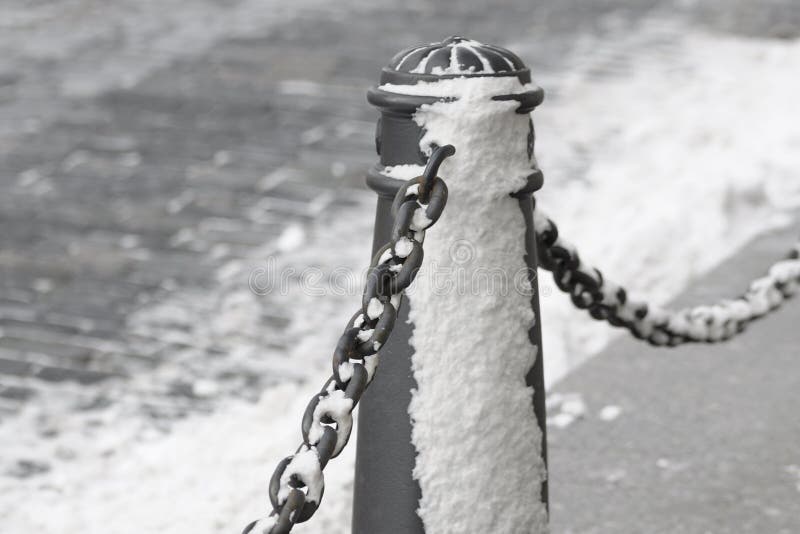 Inseparable stock photo. Image of feather, isolate, african - 149321258