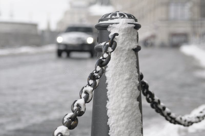 Inseparable stock photo. Image of feather, isolate, african - 149321258