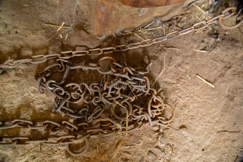 Chain within an Enclosure To Restrain Animals or Persons Stock Photo ...