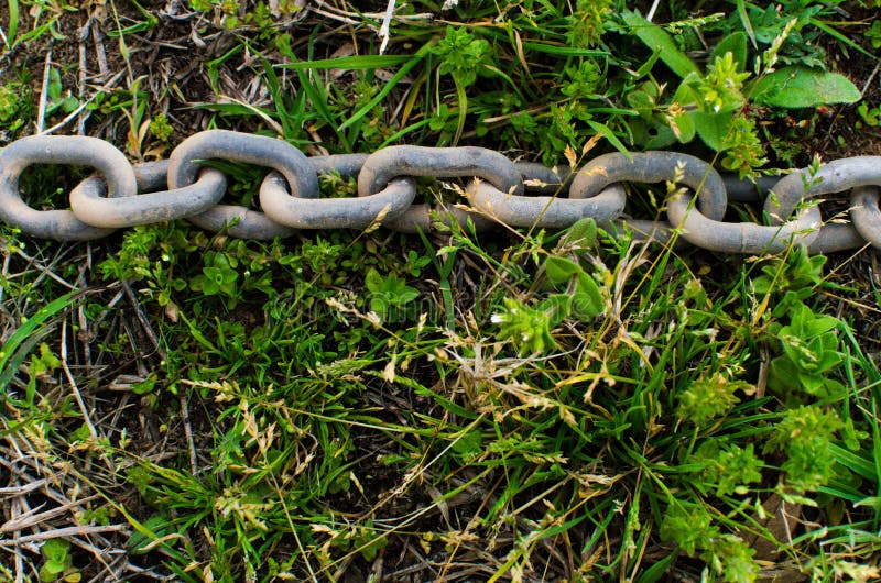 Chain in Grass stock photo. Image of rust, green, metal - 87903654