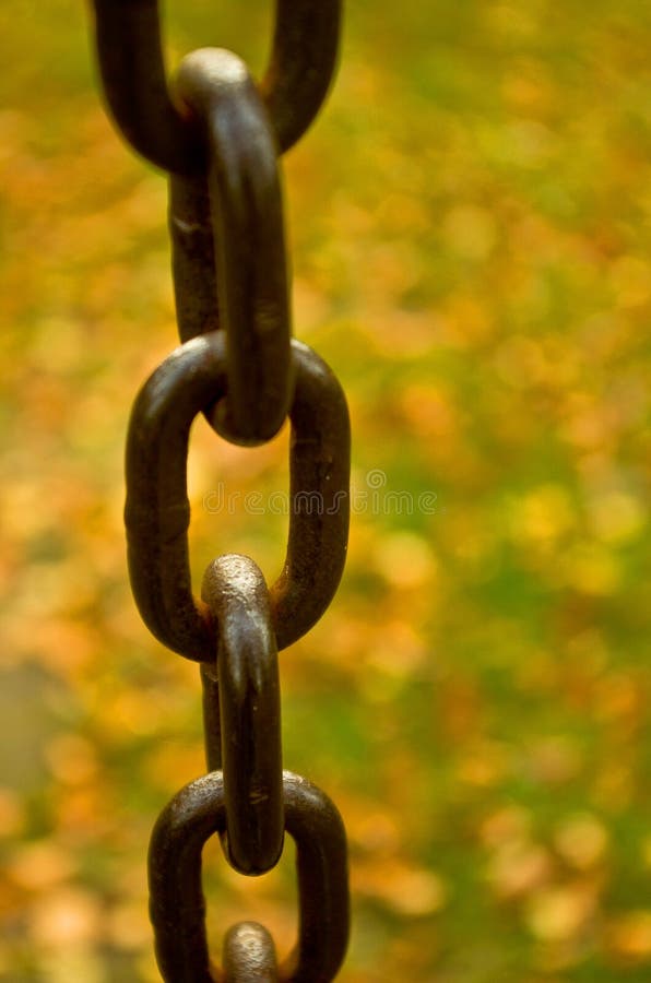 Chain stock photo. Image of hanging, focus, iron, nature - 59212890
