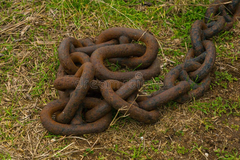 Chain lies on the grass. stock image. Image of cute - 137603343