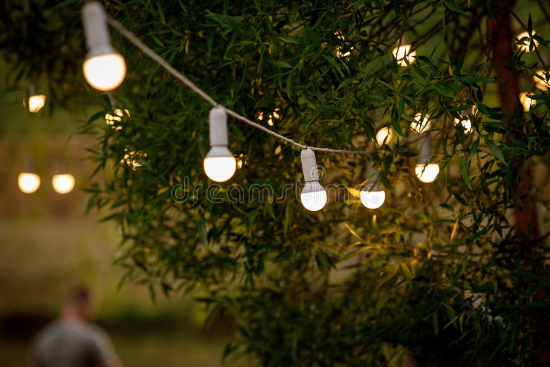 The Chain of Light Bulbs at Event Stock Photo - Image of string, party ...