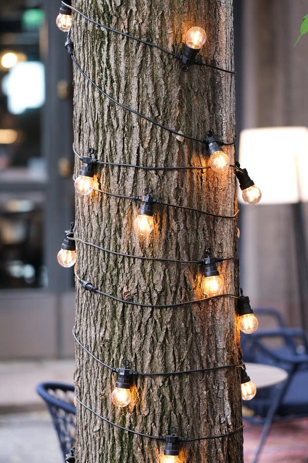 Chain of light bulbs stock photo. Image of electricity - 344565414