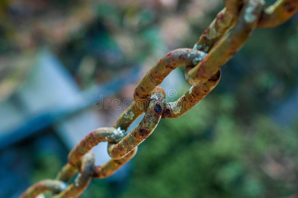 Chain Link with Rust Details Stock Photo - Image of macro, slime: 355770046