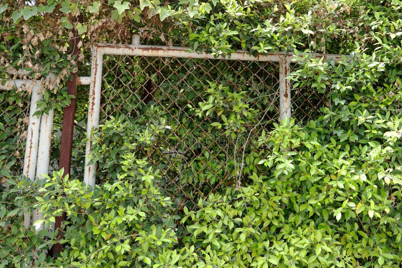 Chain Link Wall and Climber. Stock Photo - Image of climber, border ...