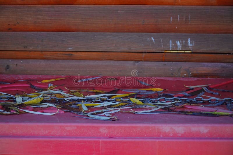 Chain Linked Algida Ice Cream Freezer Stock Image - Image of leaves ...