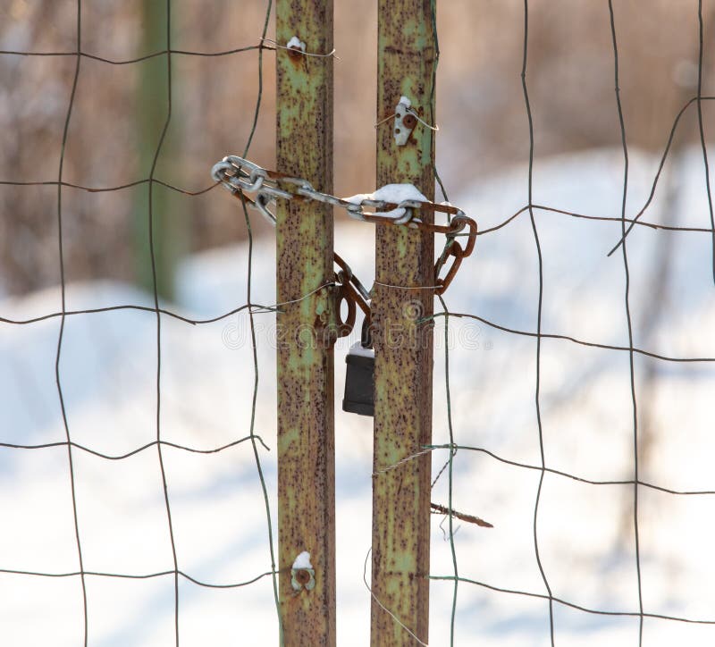 Chain with a Lock on a Metal Gate Stock Photo - Image of mesh, steel ...