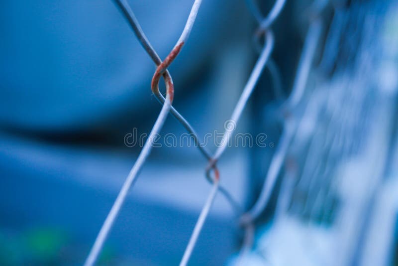 Chain Mesh, Lattice Fence, Mesh Fence. Blue, Cold Stock Photo - Image ...