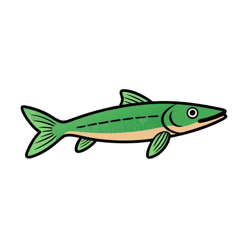 Chain Pickerel Fish Learns Icon Vector Stock Vector - Illustration of ...