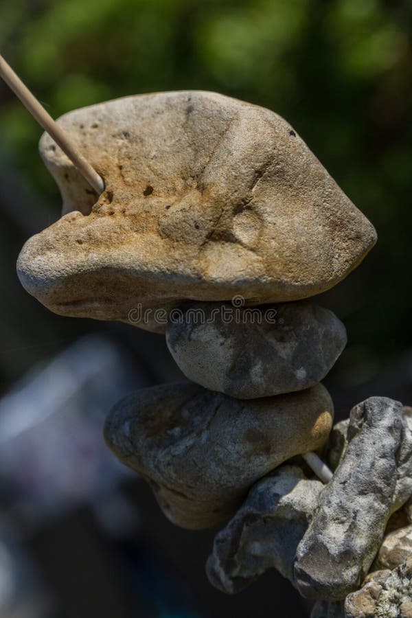 A chain of rocks stock photo. Image of garden, quiet - 71857768