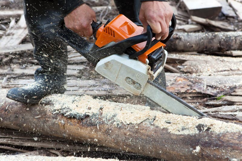 Lumberjack Worker with Chainsaw in the Forest Stock Image - Image of ...