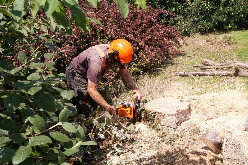 Chain sawing tree trunk stock image. Image of sawing - 28642379