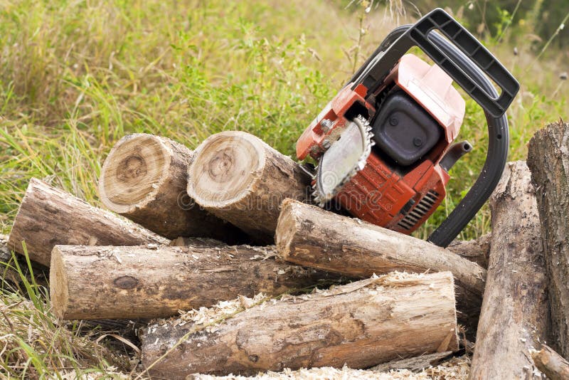 Chain saws stock image. Image of lumber, machine, agricultural - 16052921