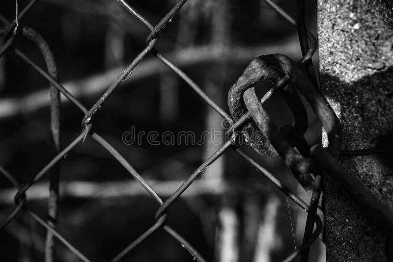 Marine Gate Guard Stock Photos - Free & Royalty-Free Stock Photos from ...