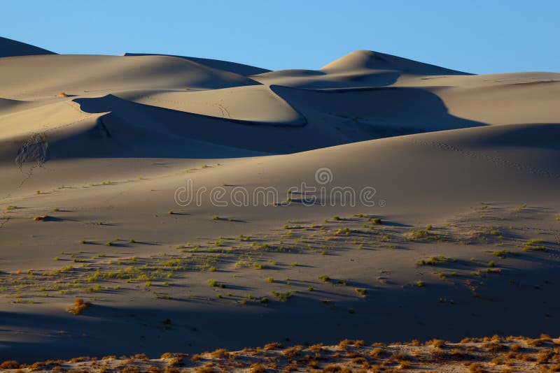 Chain of traces on sand stock image. Image of dune, eureka - 17245945