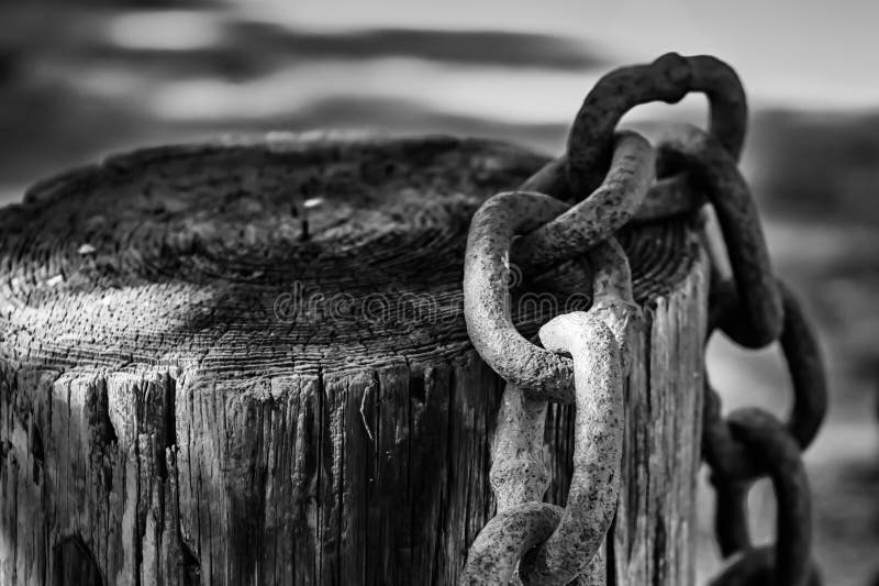 Chained... stock image. Image of rust, grass, chain, steel - 36742145