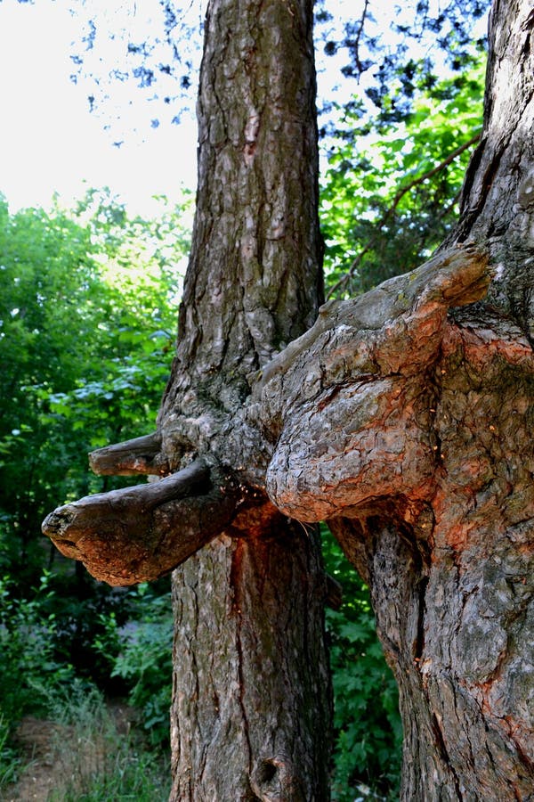 Chained into one stock image. Image of deformity, oblast - 77316805