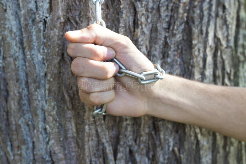 Chained to the tree stock photo. Image of trees, cutting - 107280144