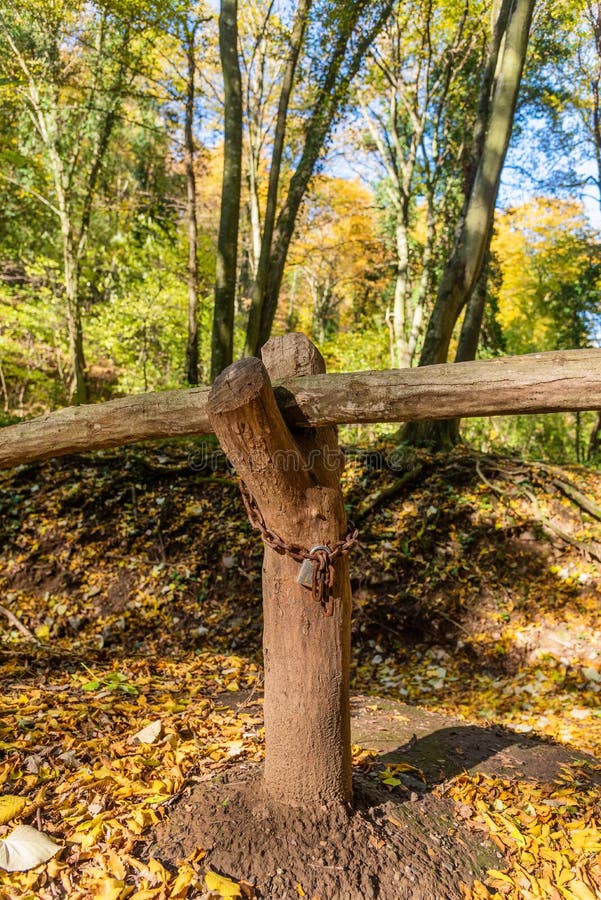 Chained Tree, Symbolizing the Defense of the Forests. Environmental ...
