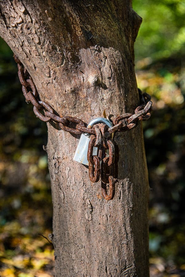 Chained Tree, Symbolizing the Defense of the Forests. Environmental ...