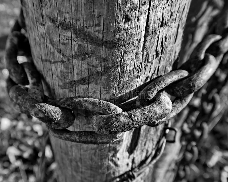 Chained up stock photo. Image of wood, history, expose - 73248866