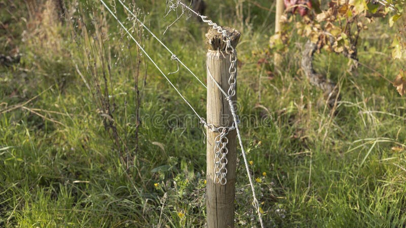Chains Holding Vine Wires Onto a Post in a Vineyard Stock Photo - Image ...